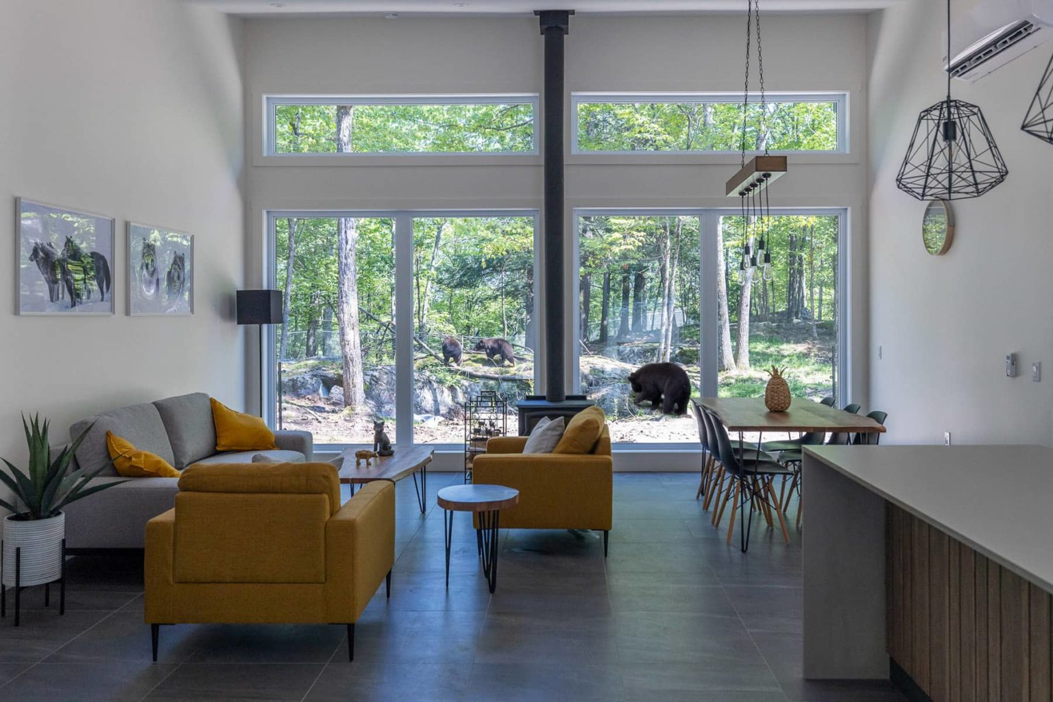 Le Parc Oméga dans ses quartiers d’hiver : de la magie et de l’inédit ...