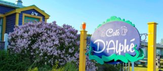 Top 5 des activités à vivre sur l'île Verte au Québec - Québec le Mag