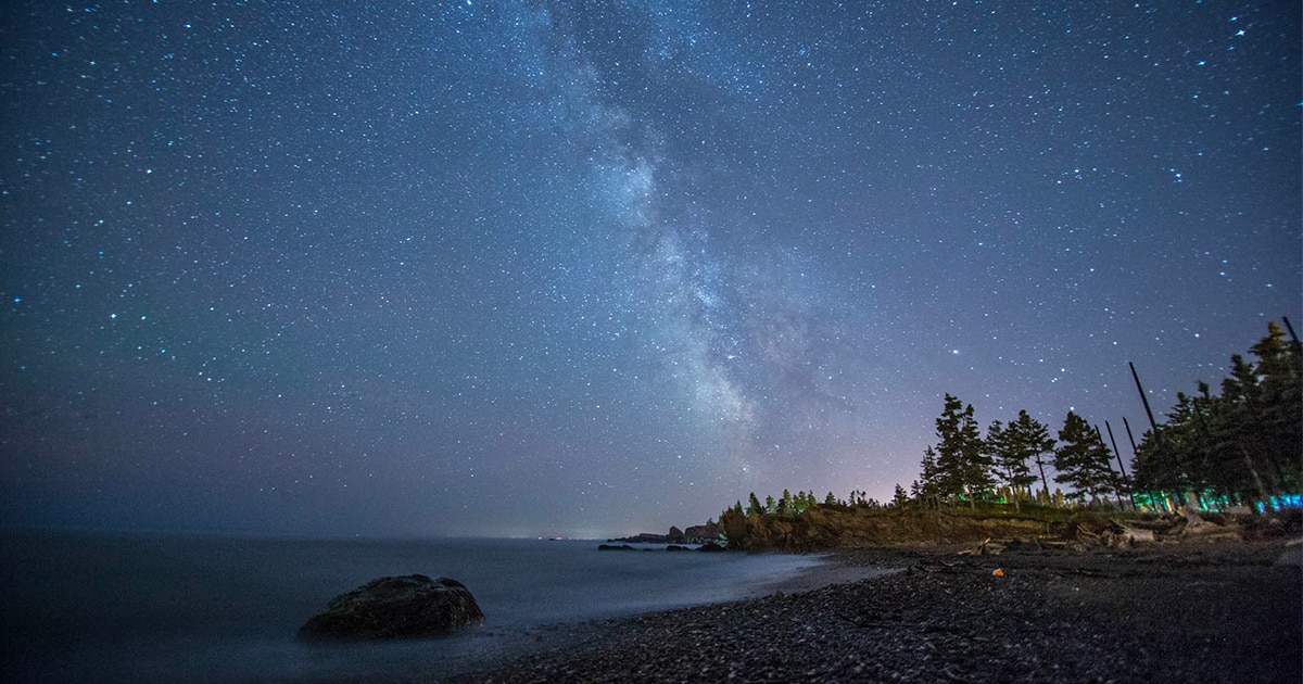 Parc du Bourg de Pabos : les racines, les étoiles et la mer - Québec le Mag