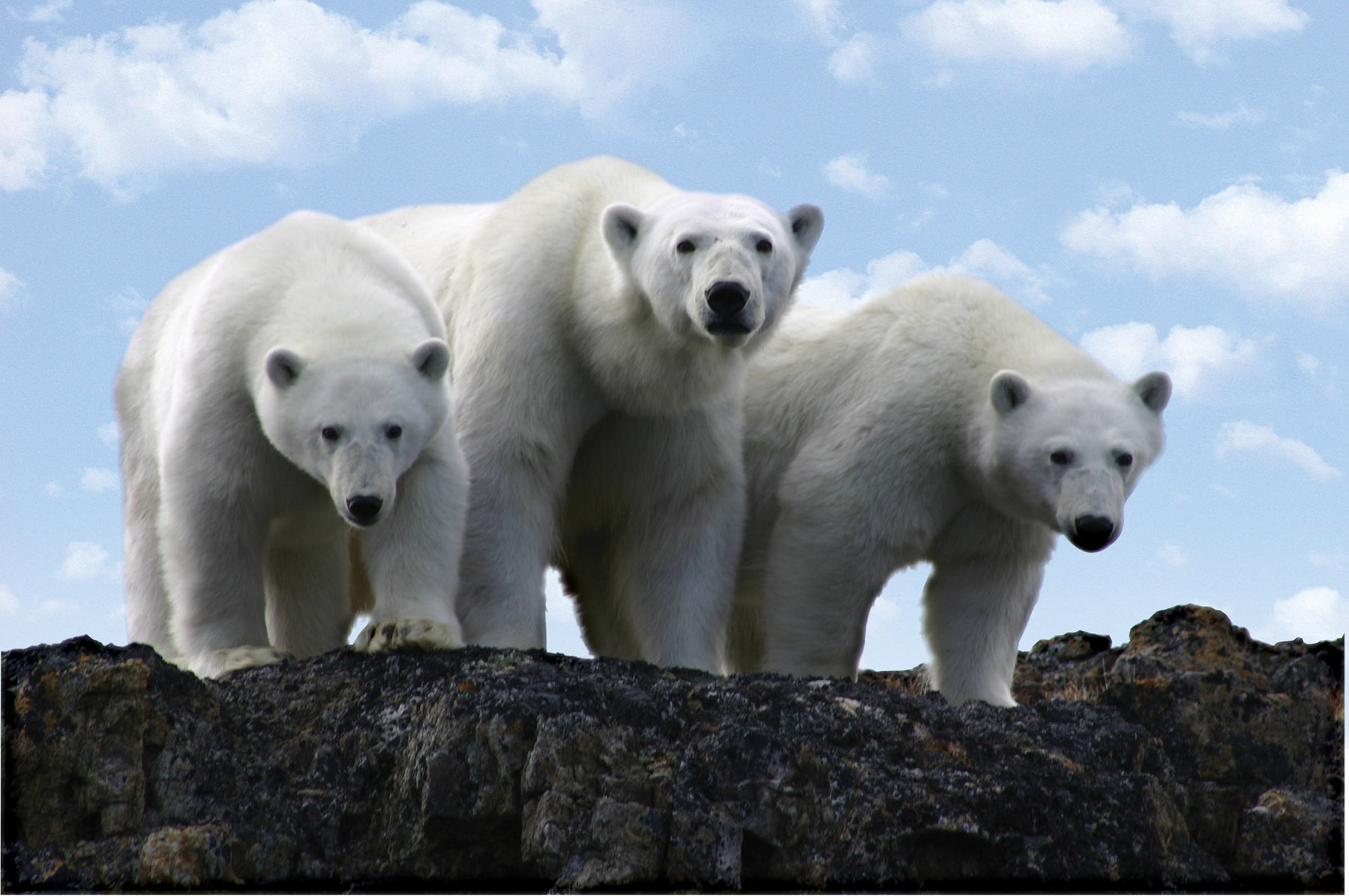 Aventures Inuit - Québec le Mag