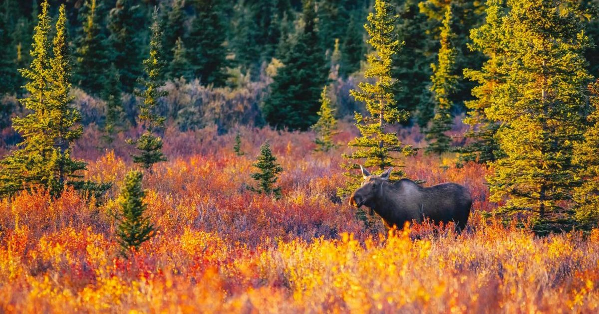 Le Québec en automne - Québec le Mag