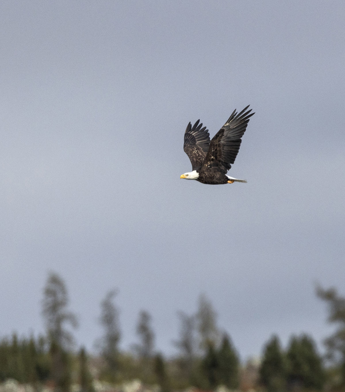 Au Nunavik, des aventures nordiques à vivre à la fin de l’été - Québec ...