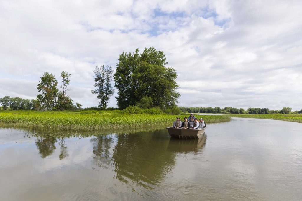 Le lac Saint-Pierre : un monde à part à découvrir - Québec le Mag