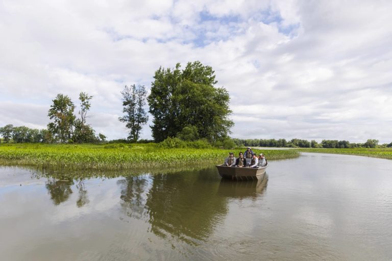 Le lac Saint-Pierre : un monde à part à découvrir - Québec le Mag